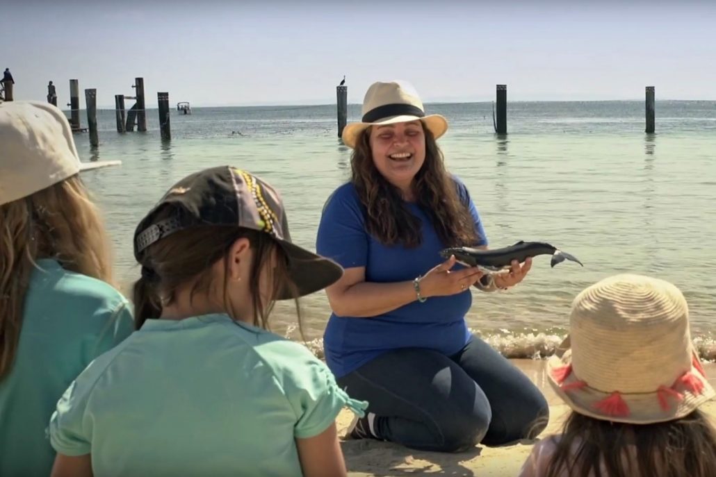 About Us - Dolphin Research Australia.Org