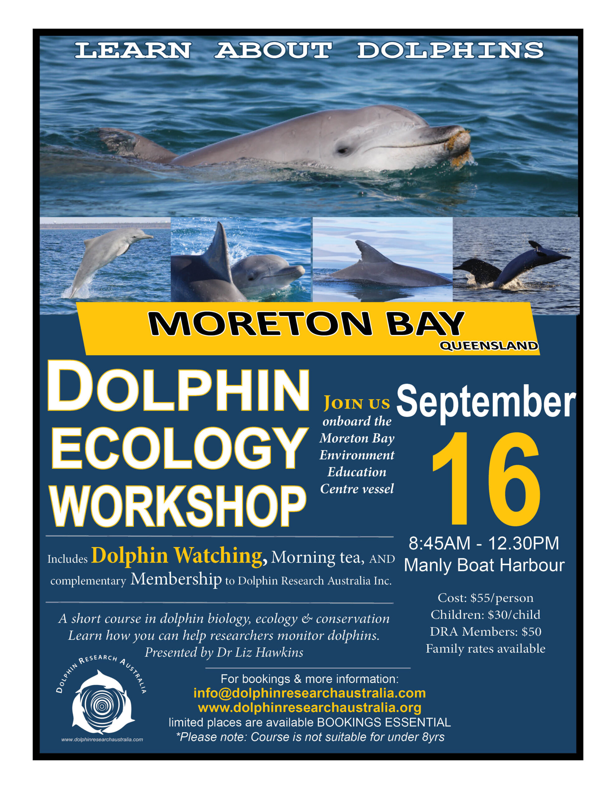 Moreton Bay Dolphin Ecology Workshop - Dolphin Research Australia.Org