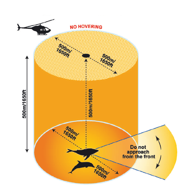 Take Action - Dolphin Research Australia.Org