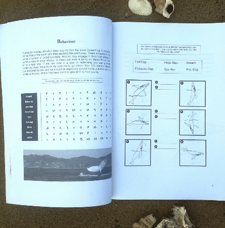 Whale Activity Book - Dolphin Research Australia.Org