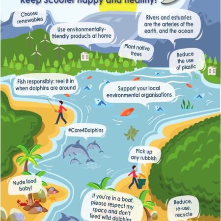 Fun Activities & Downloads - Dolphin Research Australia.Org