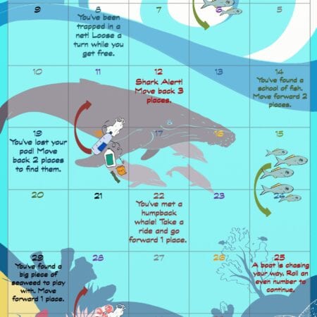 Fun Activities & Downloads - Dolphin Research Australia.Org