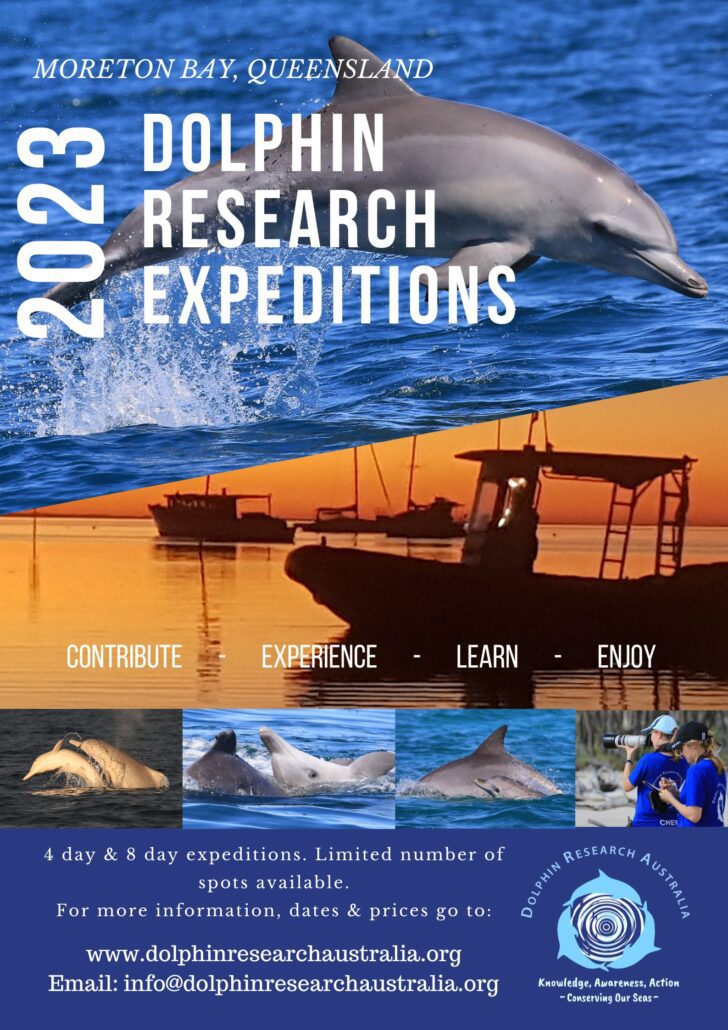 Dolphin Expeditions - Dolphin Research Australia.Org