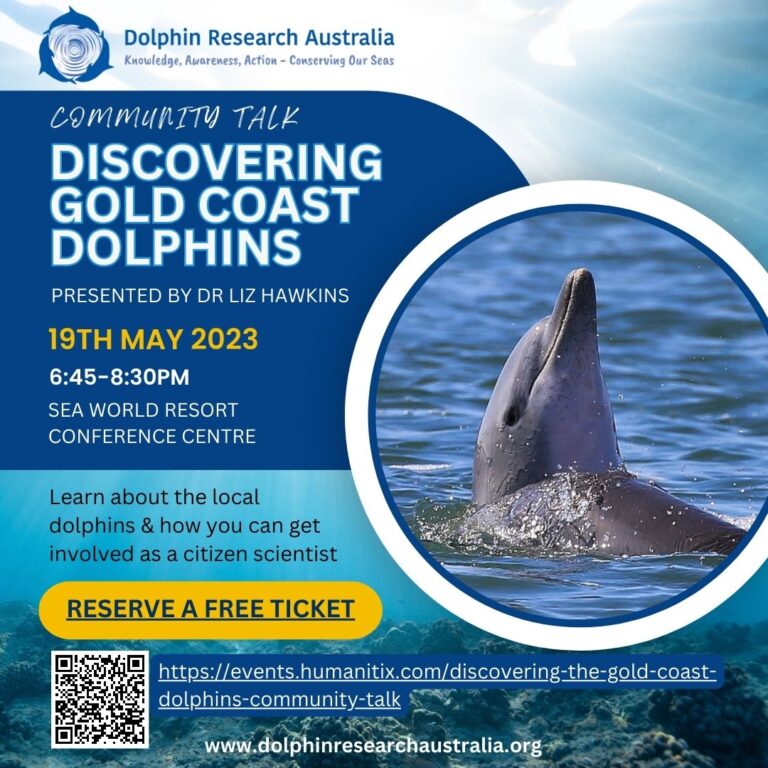 Discovering the Gold Coast Dolphins - Community Talk - Dolphin Research Australia.Org