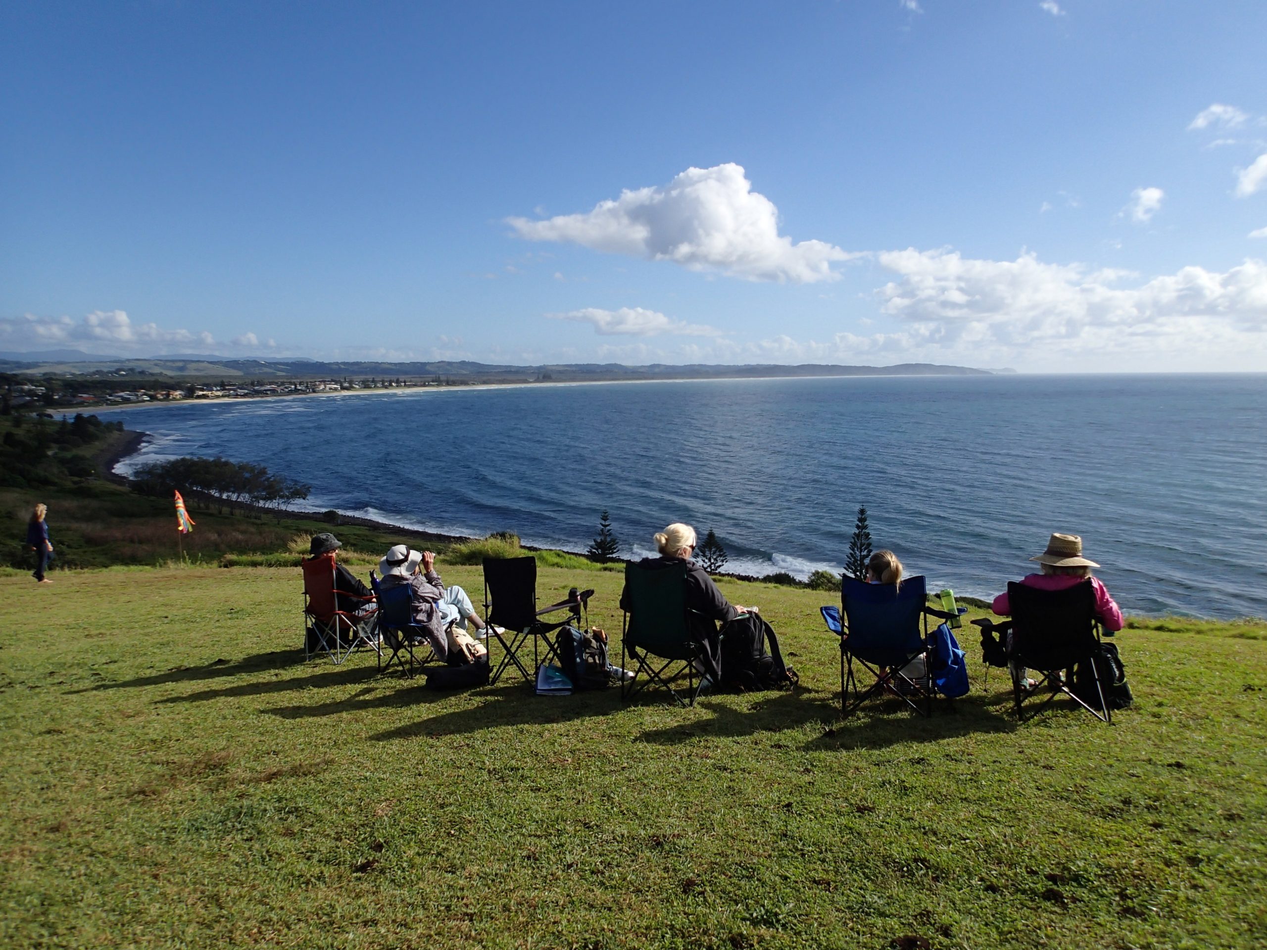 Gold Coast Dolphin Watch Community Survey - 30th August 2025 - Dolphin ...