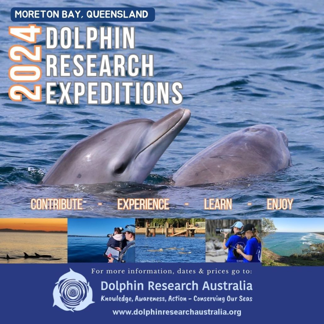 Dolphin Expeditions - Dolphin Research Australia.Org