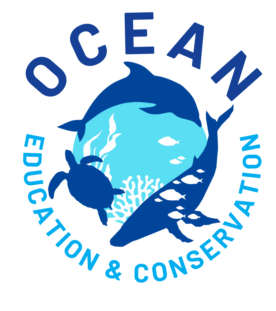 OCEAN Education - Dolphin Research Australia.Org